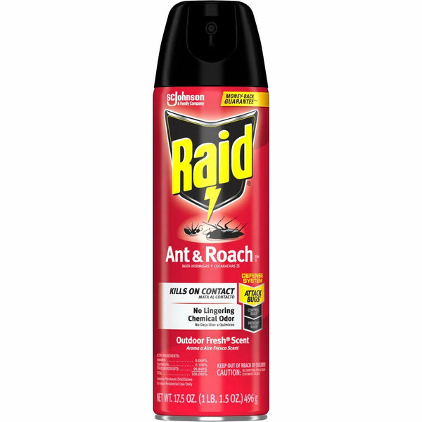 Raid Ant & Roach Killer Spray - Spray - Kills Ants, Cockroaches, Bugs ...